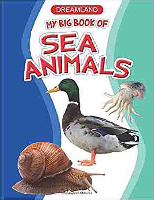Buy My Big Book of Sea Animals By Dreamland Publications | Bookchor.com