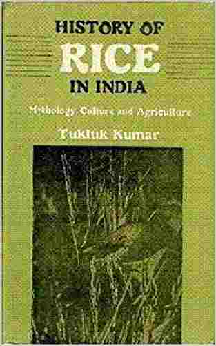 Buy History of Rice in India ; Mythology, Culture and Agriculture By ...