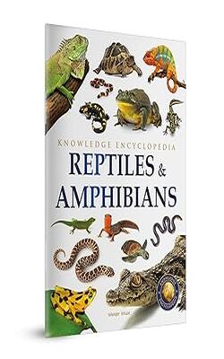 Buy Wonder House Books Animals - Reptiles and Amphibians : Knowledge ...